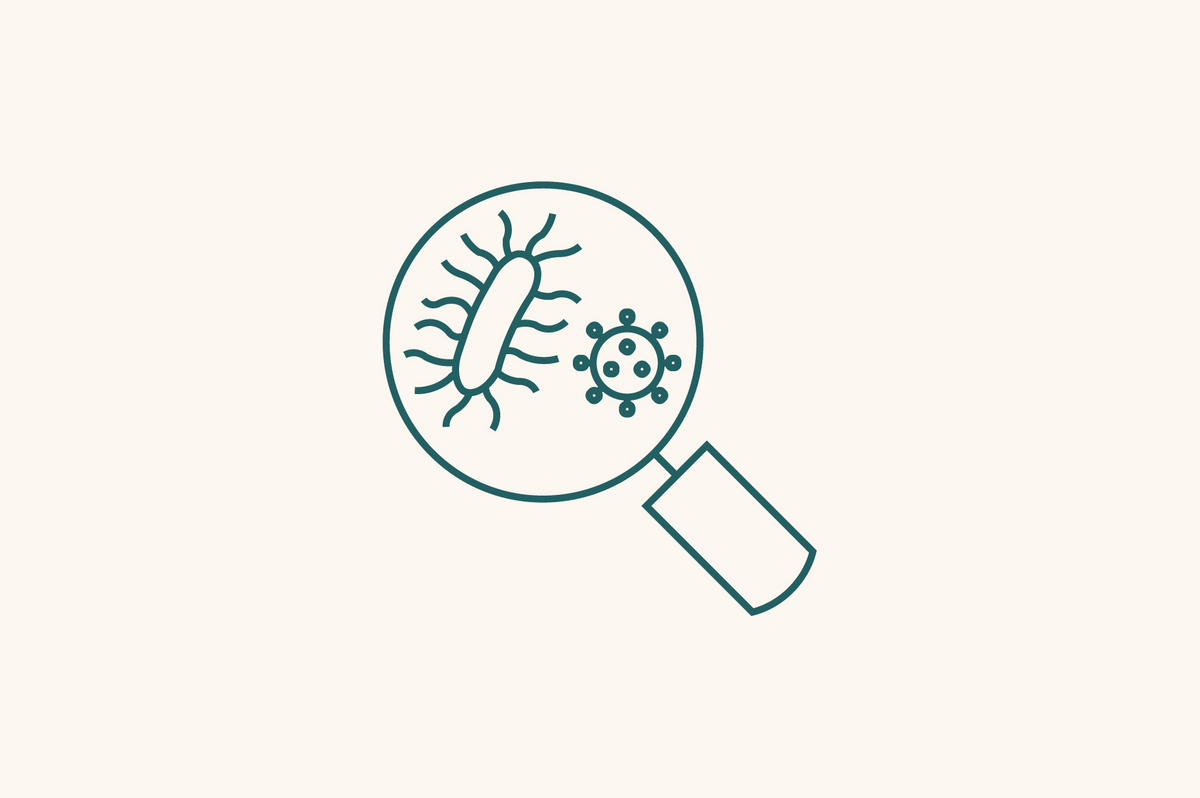 AGES Radar for Infectious Diseases – 18 June 2026 - AGES